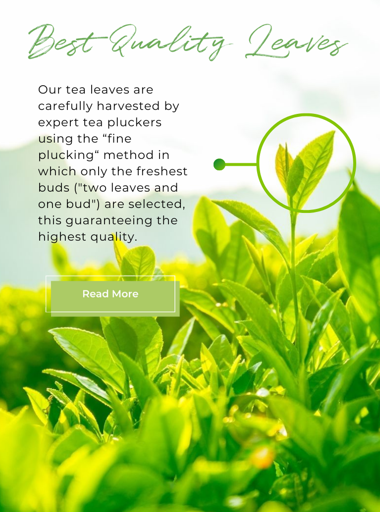 Fineleaf – A fine tea collection